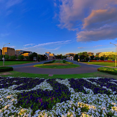 Canberra - Vernon Circle